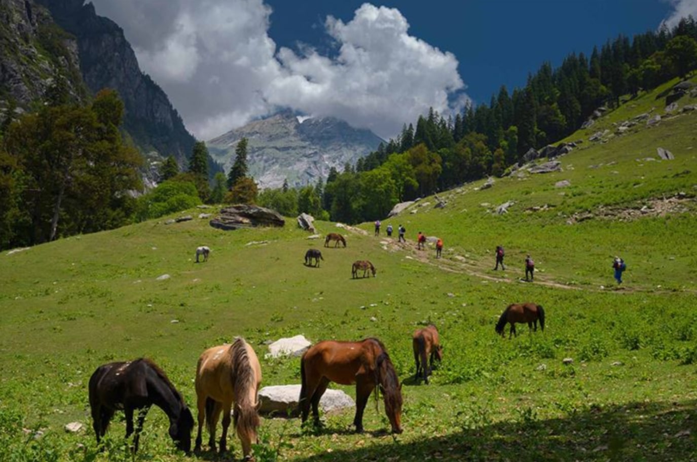 Experience - Johnsons Hotel